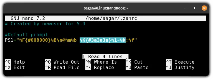 Customizing Zsh Prompt