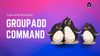 Create Groups in Linux With Groupadd Command