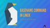 Using Linux Basename Command in Bash Scripts [Examples]