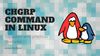 5 Practical Examples of chgrp command in Linux