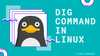 Dig Command Examples in Linux