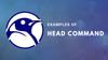 Head Command in Linux [5 Essential Examples]