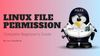 Linux File Permissions and Ownership Explained with Examples
