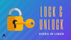 How to Lock and Unlock User in Linux Command Line