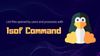 lsof Command in Linux: 7 Practical Examples
