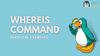 Whereis Command Examples