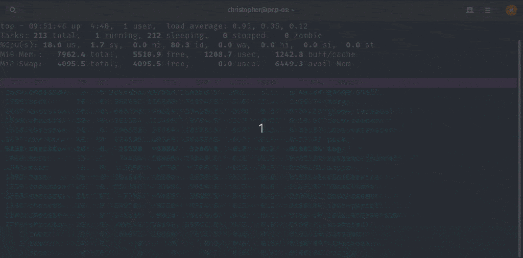 Using the Top Command as Task Manager in Linux