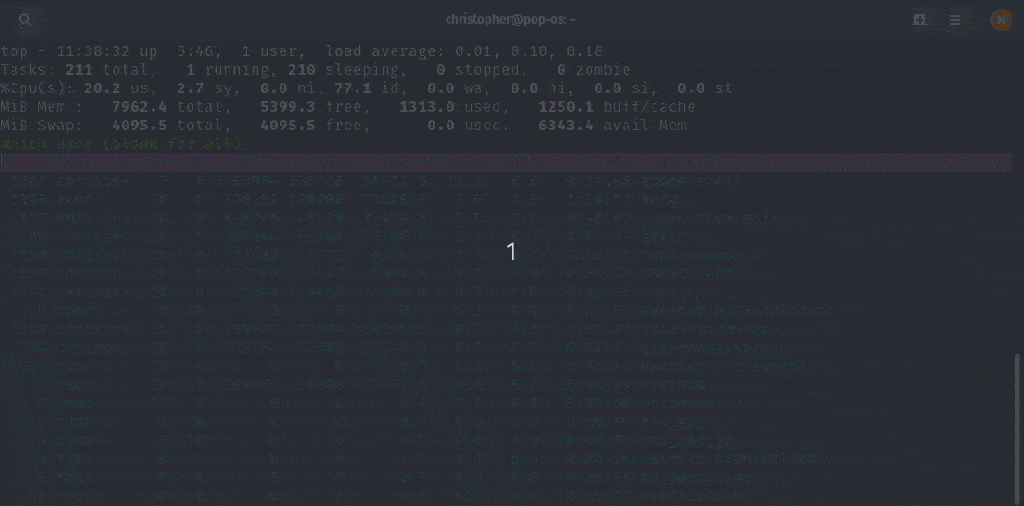 Using the Top Command as Task Manager in Linux