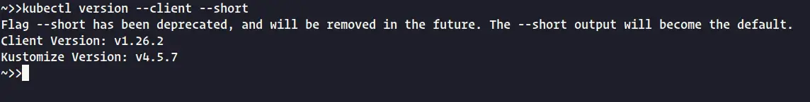 Install and Setup MiniKube on Ubuntu