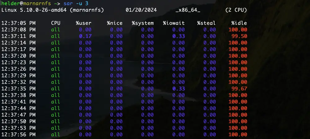 How to Check CPU Usage in Linux Command Line