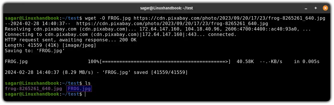 wget Command in Linux [8 Practical Examples]
