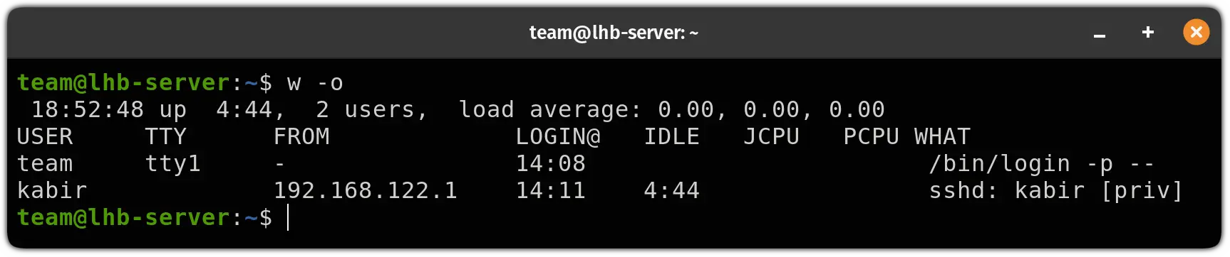 w Command in Linux [6 Examples]