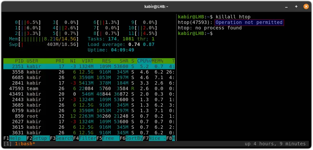 killall Command Examples in Linux
