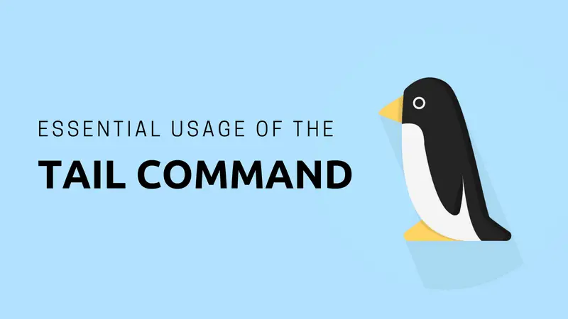 5 Practical Examples of Tail Command in Linux
