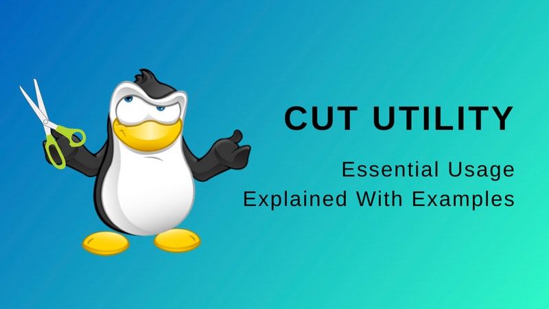 4 Essential and Practical Usage of Cut Command in Linux