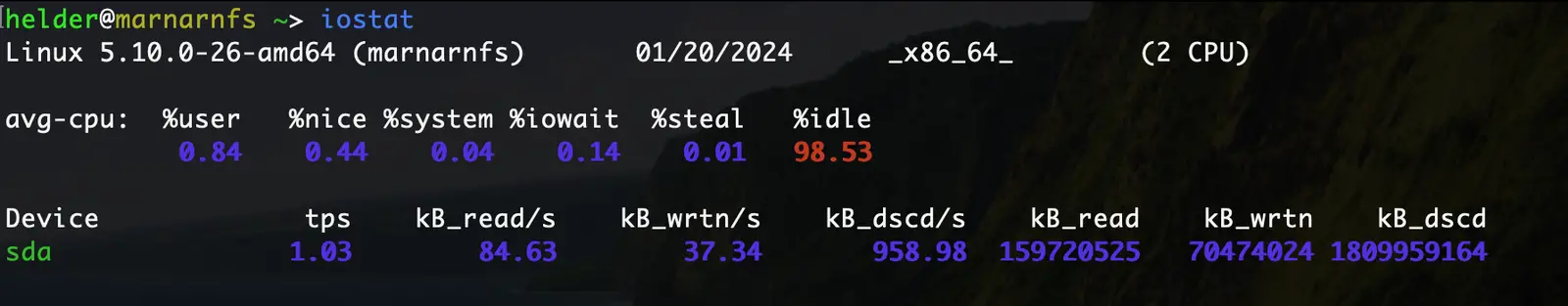 How to Check CPU Usage in Linux Command Line