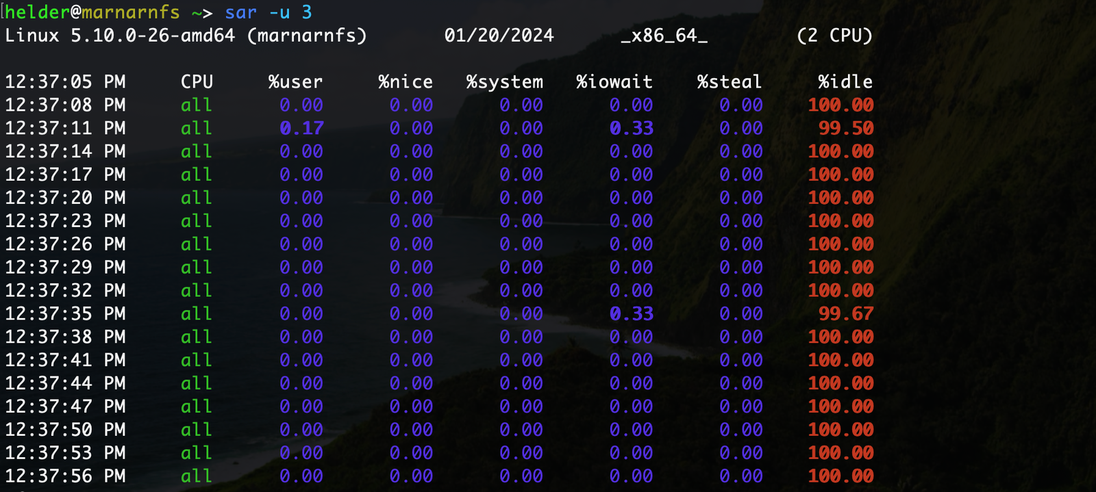 How to Check CPU Usage in Linux Command Line