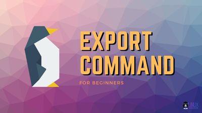 How to Use Export Command in Linux [Explained for Beginners]