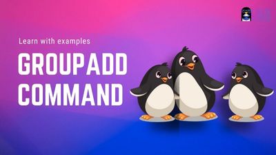 Create Groups in Linux With Groupadd Command