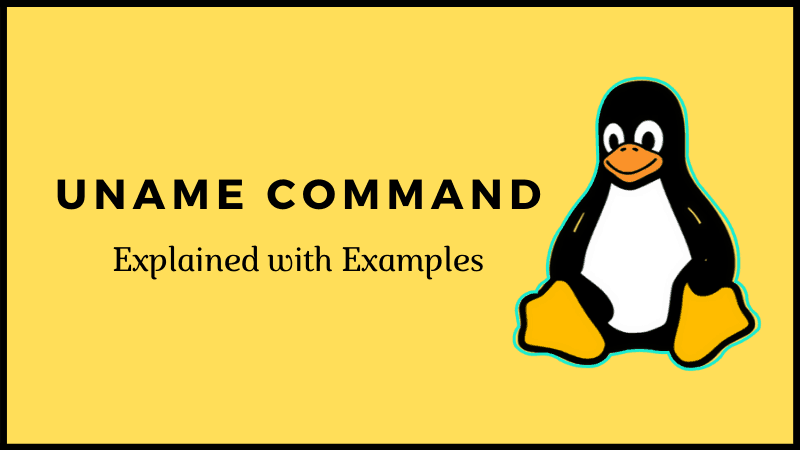 Using uname command in Linux [Output Explained]