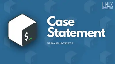 Case Statements in Bash: Examples Explained