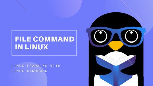 echo Command in Linux [7 Practical Examples]