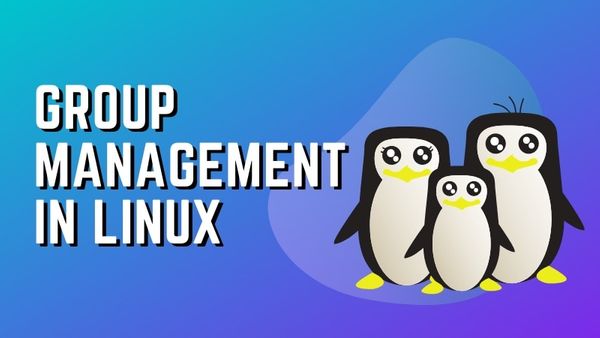 5 Commands for Group Management in Linux