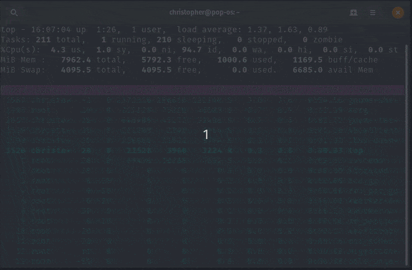 Using the Top Command as Task Manager in Linux