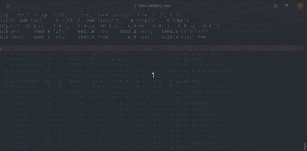 Using the Top Command as Task Manager in Linux