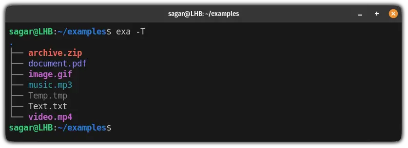 How to Use Exa Command on Linux