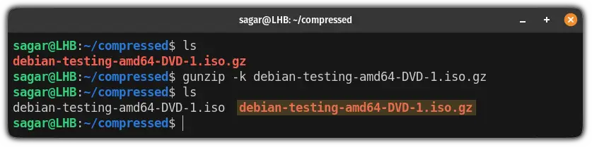 Using gunzip Command in Linux