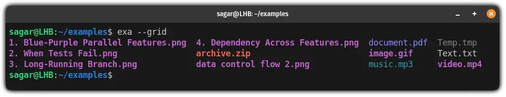 How to Use Exa Command on Linux