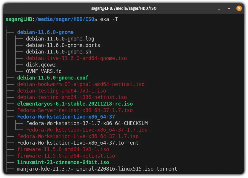 How To Use Exa Command On Linux