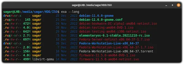 How to Use Exa Command on Linux