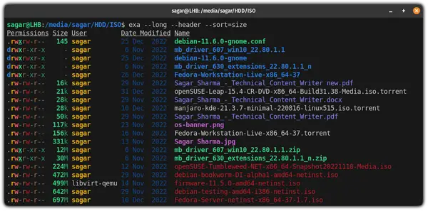 How to Use Exa Command on Linux