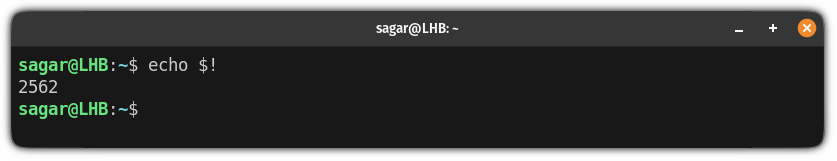 Special Variables in Bash Shell [With Script Examples]