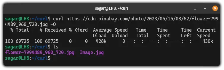 How to Save cURL Output to a File?