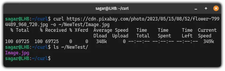 How To Save Curl Output To A File