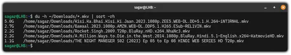 Sort Du Command Output By Size In Linux