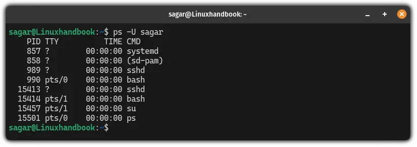 ps -ef Command Examples