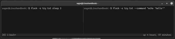 Using flock Command in Linux