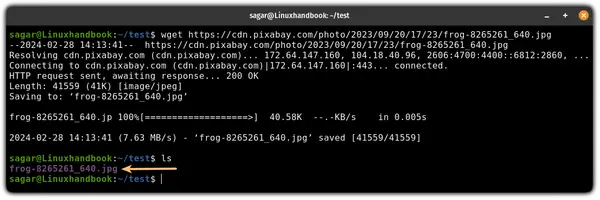 wget Command in Linux [8 Practical Examples]