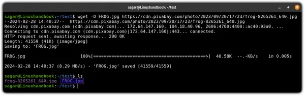 wget Command in Linux [8 Practical Examples]