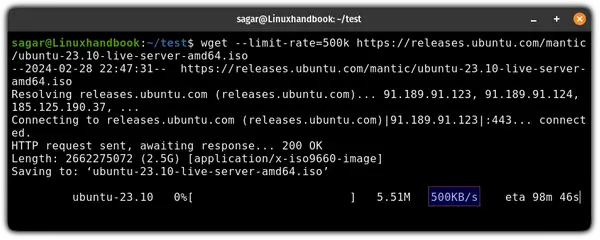 wget Command in Linux [8 Practical Examples]