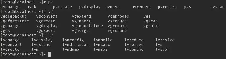 Efficient Block Device Management with LVM