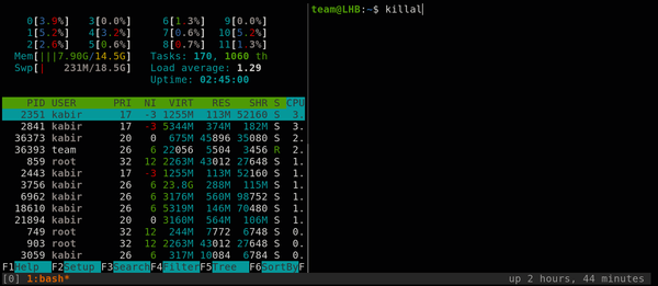killall Command Examples in Linux