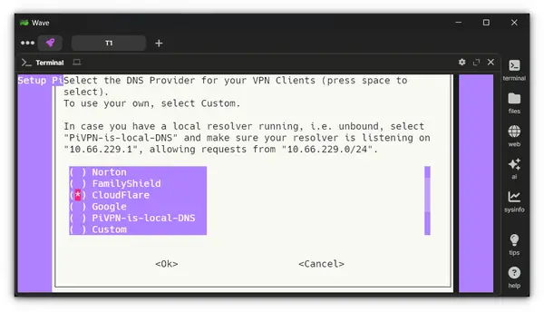 Self-host Your Own VPN Using PiVPN
