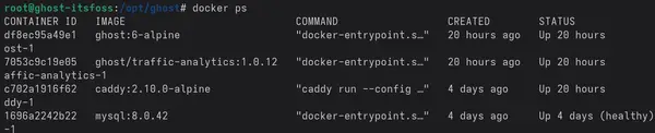 Docker Logs Taking Too Much Disk Space? Here's How to Fix it