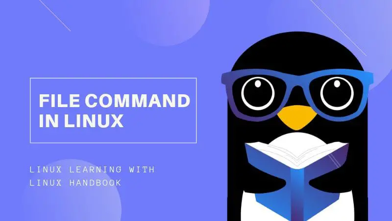 File Command in Linux: 5 Essential Examples