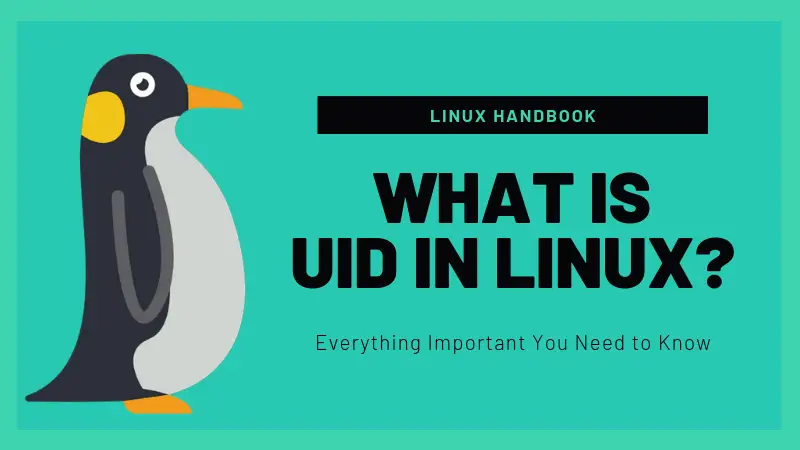 What is UID in Linux? How to Find UID of a User?